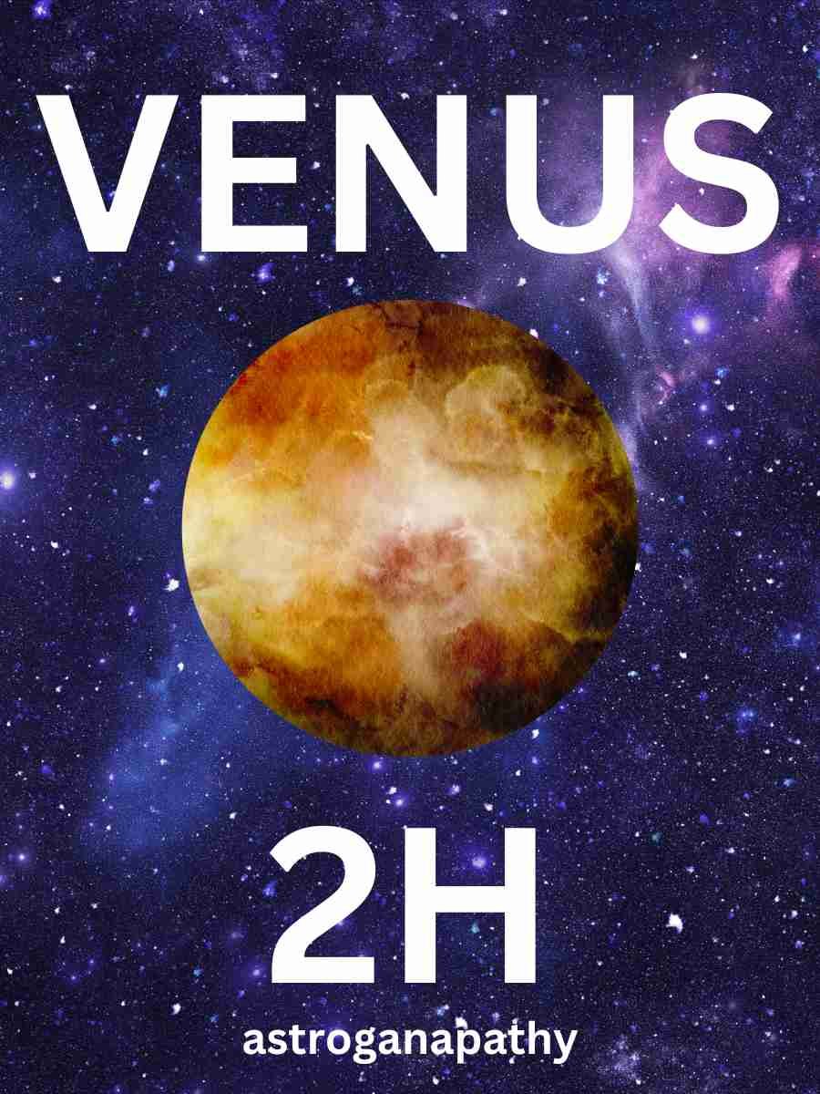 Through the Lens of Love: Beyond Perseverance Decoding Venus in All 12 ...